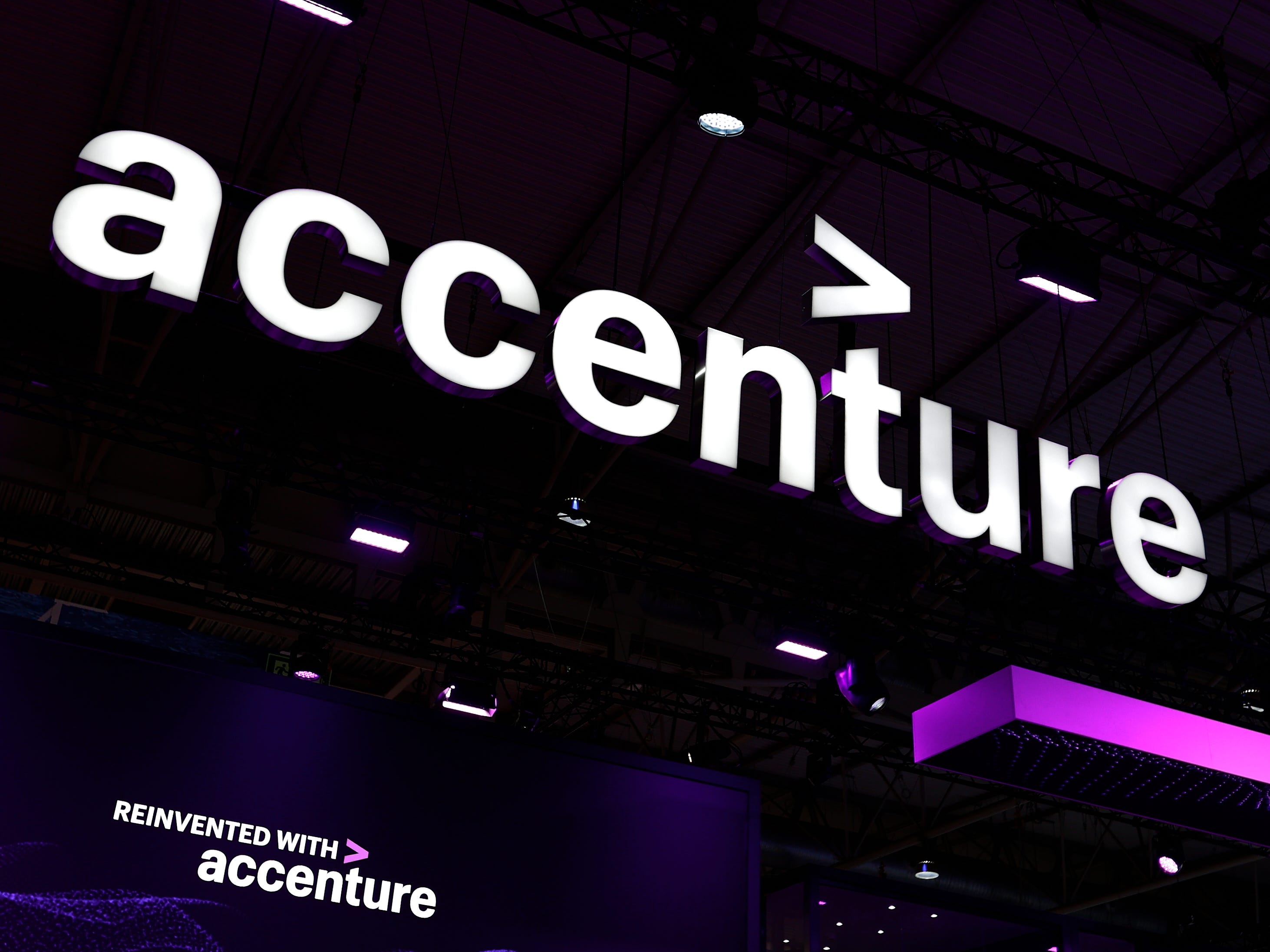 Accenture CEO says DOGE's cost-cutting drive is hitting business, as ...