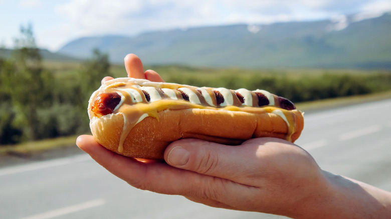 The Topping That Makes Icelandic Hot Dogs Iconic