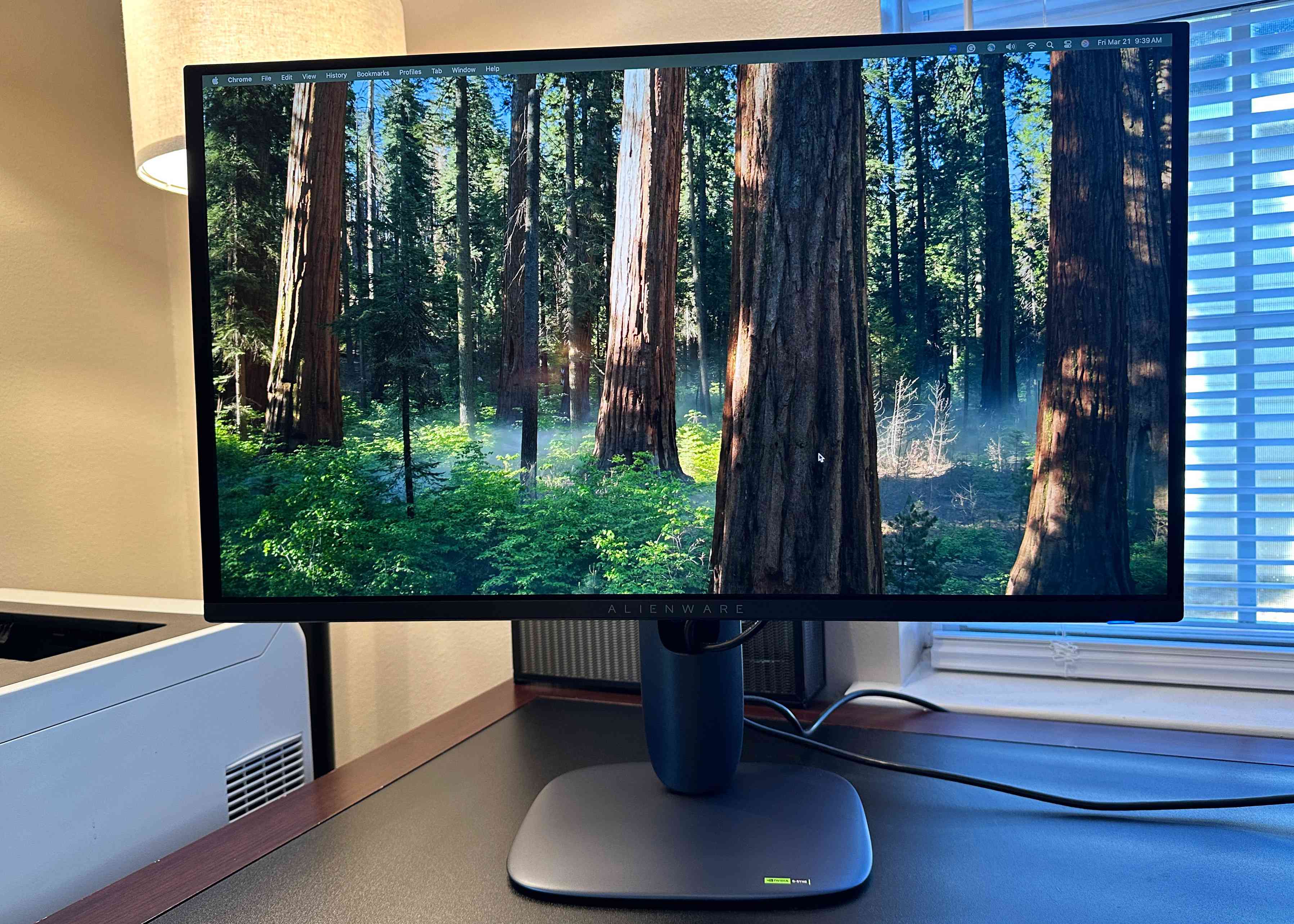 Alienware 27 4K QD-OLED Monitor Review: A Seamless Blend of Performance ...