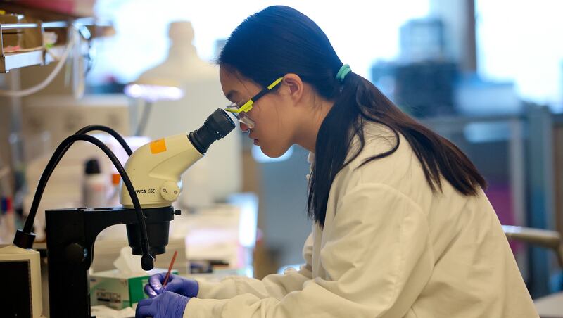 Opinion: The great distraction — how America’s universities recapture ...