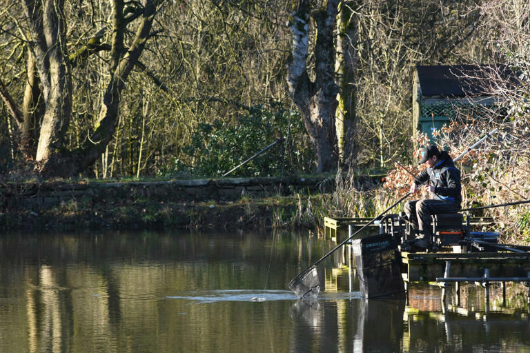 Fishing near me | Commercials to catch big perch