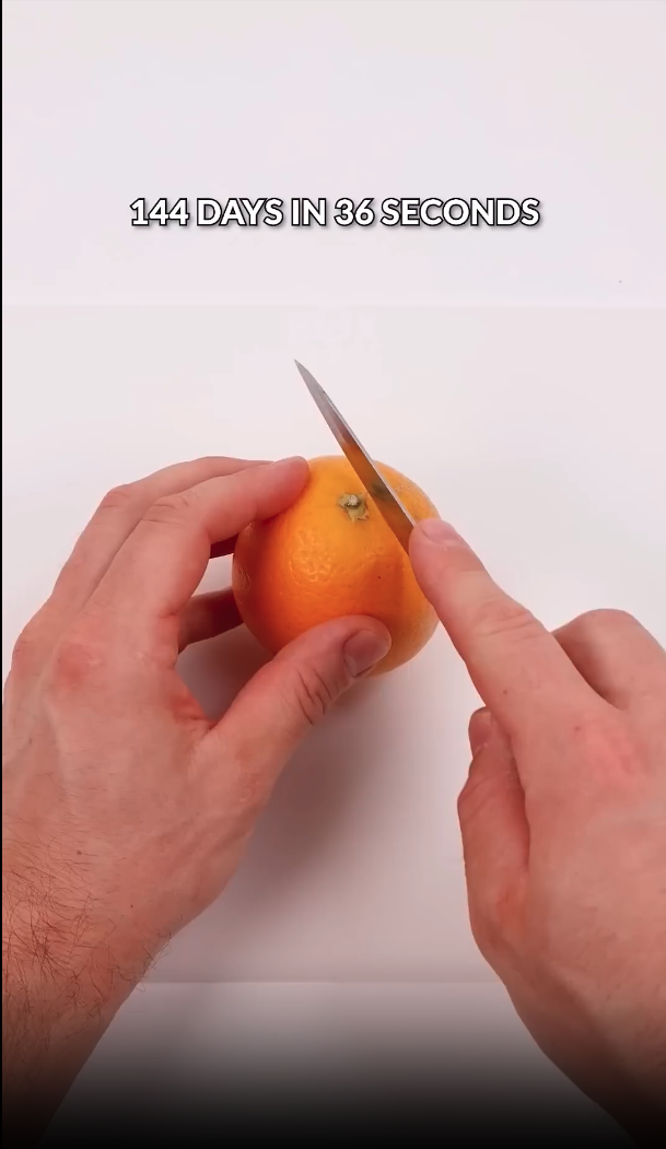 144 days in 36 seconds - Orange tree