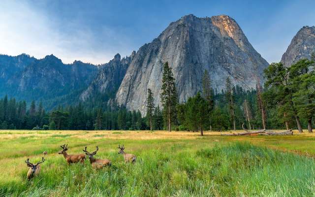 Expert explains why nature should not be a partisan issue: 'We're going ...