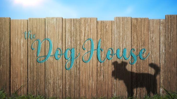 Channel 4 series The Dog House is looking for dog lovers from Scarborough