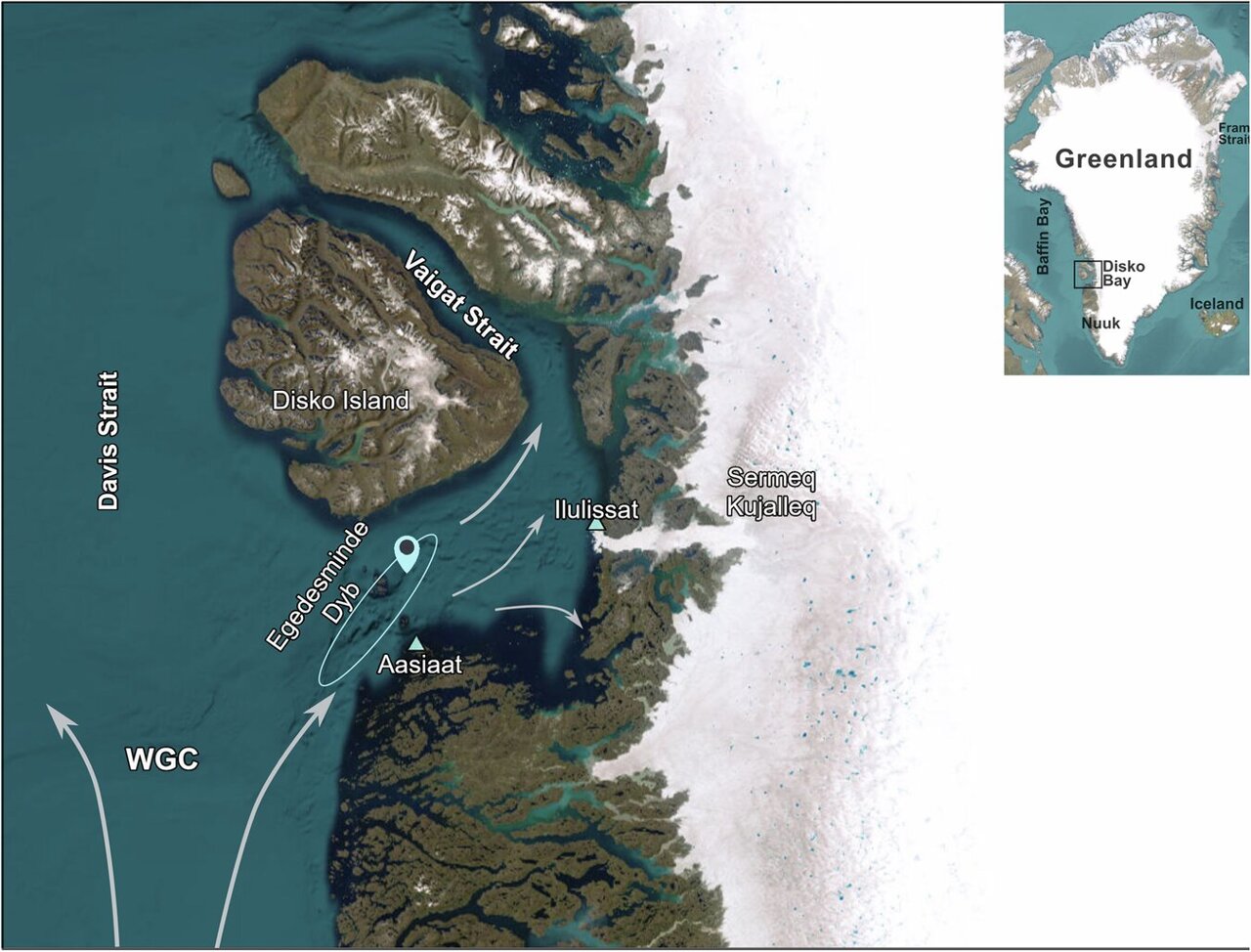 Core samples from Greenland's seabed provide first historical overview ...