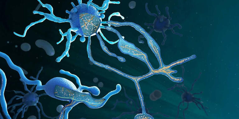 Origin of life: How a special group of single-celled organisms laid the ...