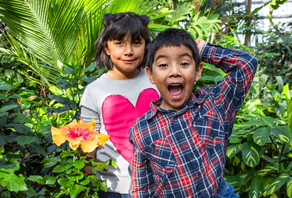 Spring Break 2025: Chicago Adventures for Kids