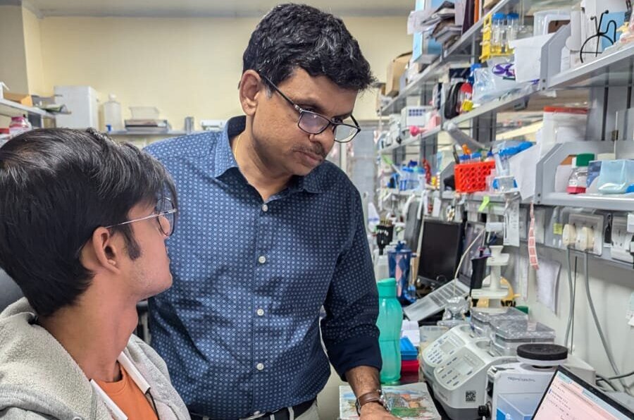 Chronic sucrose consumption in mice reveals organ-specific metabolic ...