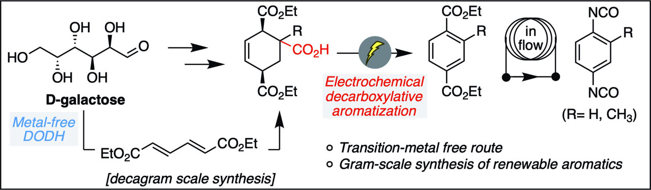 Bio-based method creates polyurethane without toxic chemicals