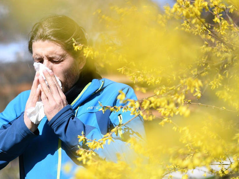 Why Are My Allergies Bad This Year? An Allergist Shares Relief Tips