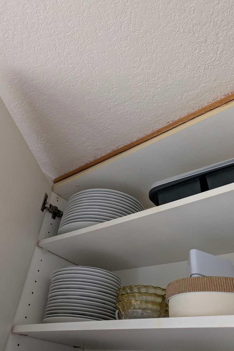 Why I'll Always Follow the "Dinner Plate Rule" Every Time I Go to an ...