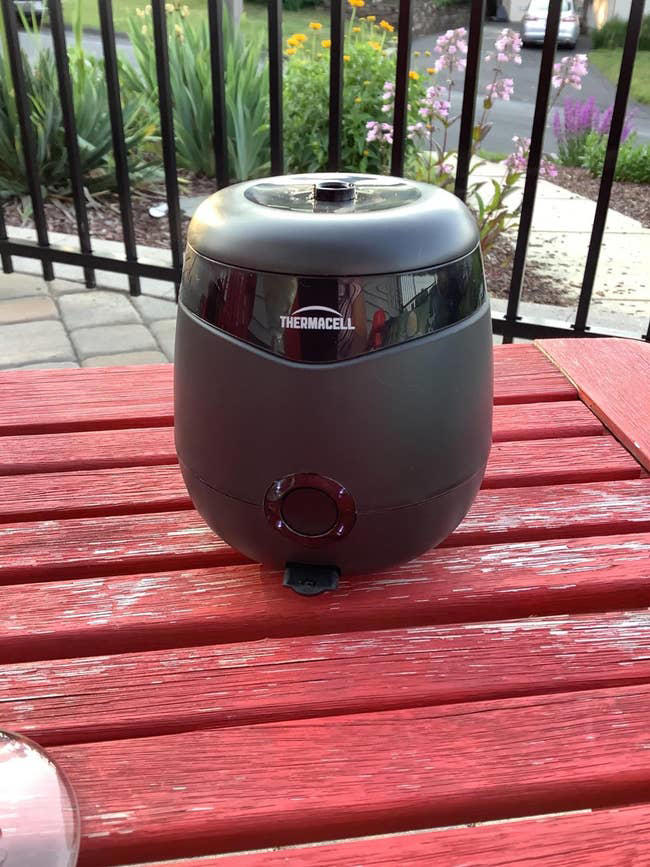 Grandpa’s Weeder, Patio Furniture Wipes, And 55 Other Products To ...