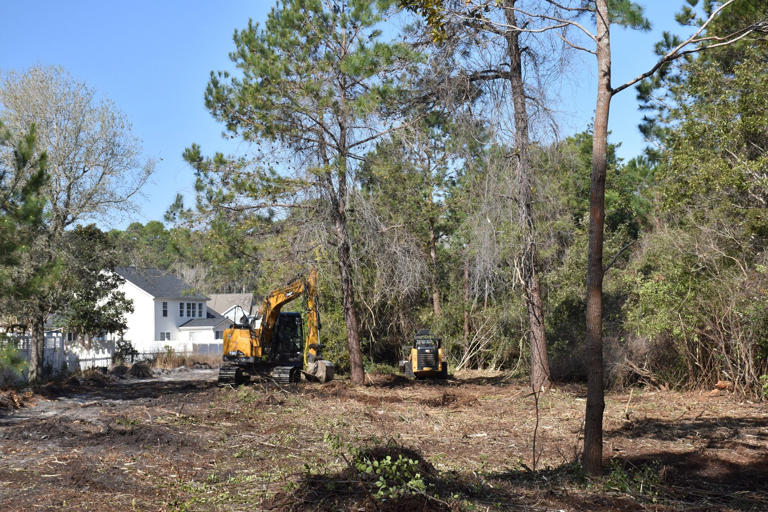 Carolina Forest wildfire remains at 80% contained
