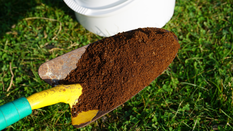 Expert reveals the kitchen waste item that can help you create a green ...
