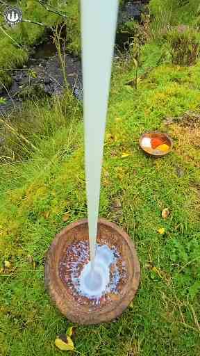 Men With The Pot - MSN