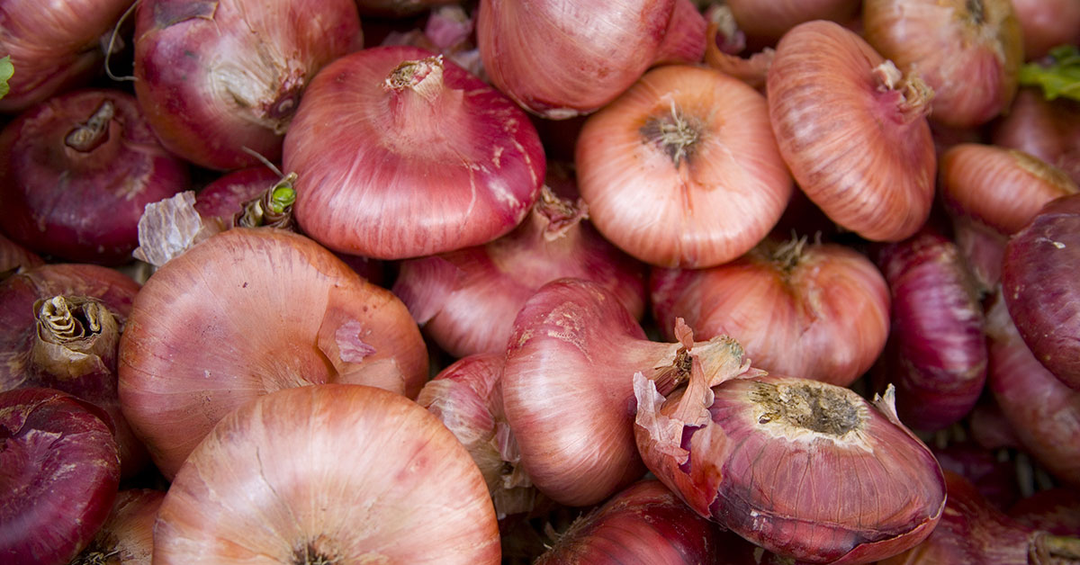 15 Vegetables You Should Grow For Their Health Benefits