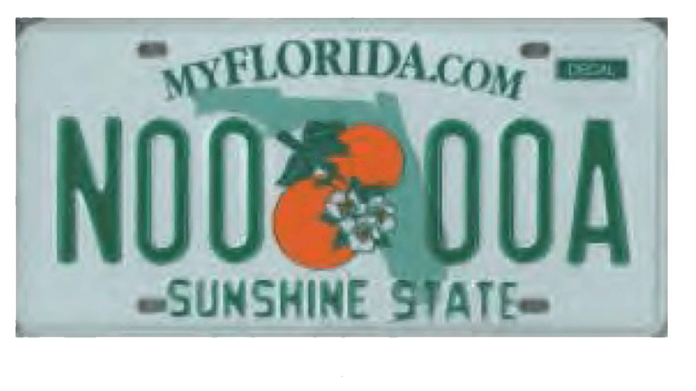 Seeing double: Florida drivers may soon need front license plates