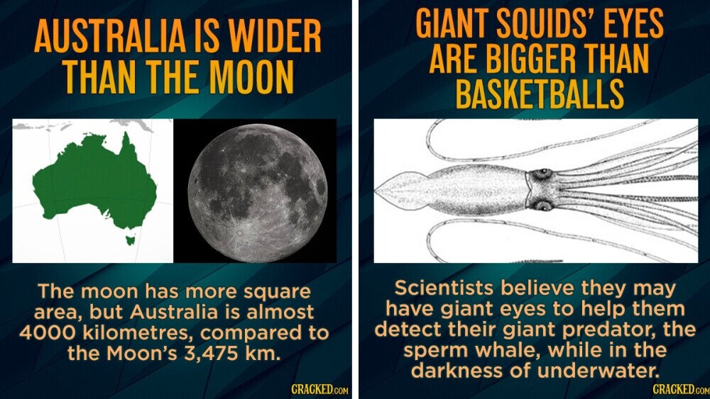 11 Size Comparisons of Things That Mess With Our Sense of Scale