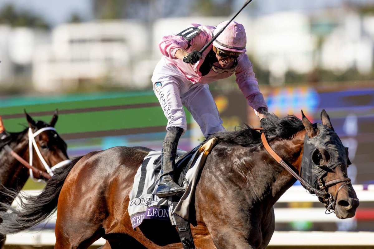 Louisiana Derby, Jeff Ruby Steaks start crunch time for Kentucky Derby ...