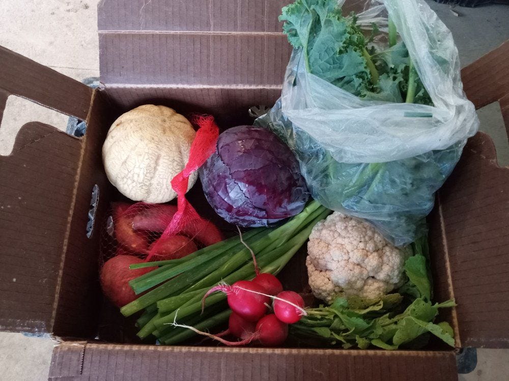 7 CSA subscriptions available for summer 2025 in the Milwaukee area