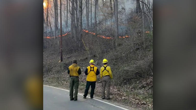 Evacuations in effect as 3 wildfires burn in North Carolina