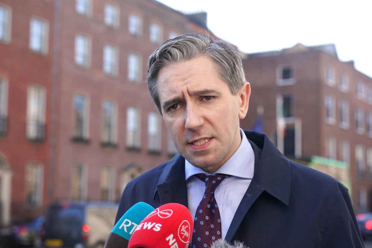 Further US tariffs ‘highly likely’, Irish deputy premier warns