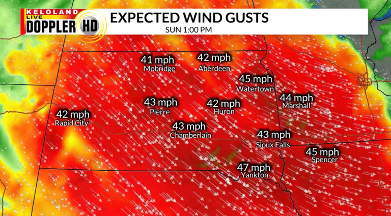 Storm Center PM Update: Mild and Windy Weekend Ahead