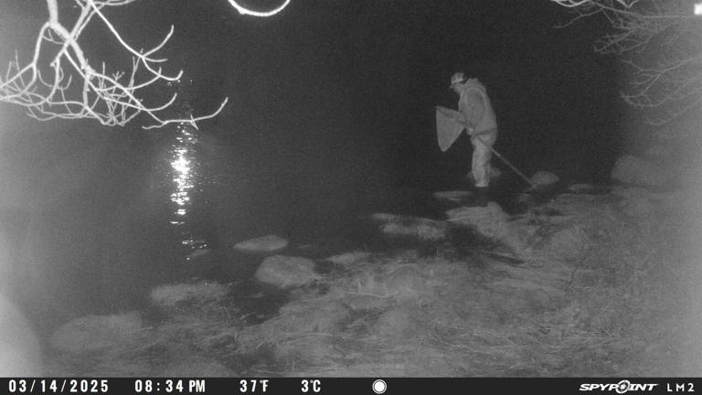 As the elver season opens, a First Nation is pushing back hard against DFO