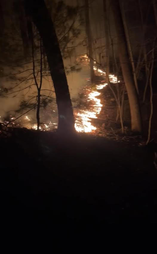 'Leave now': Polk County wildfire triples in 8 hours; fires burn over ...