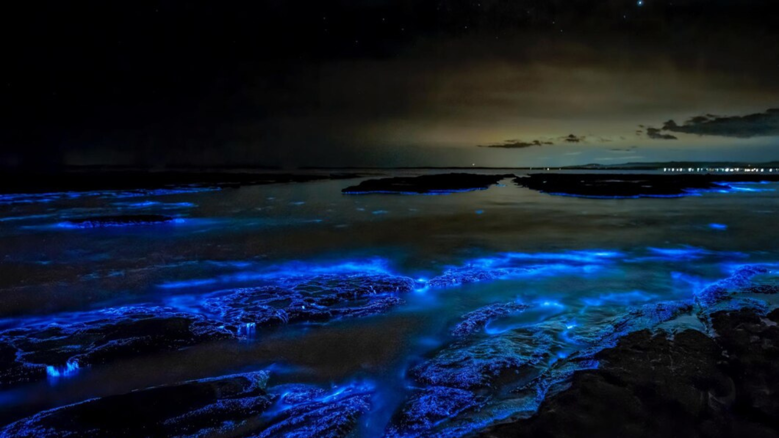 5 Stunning Bioluminescent Beaches in India That Glow at Night