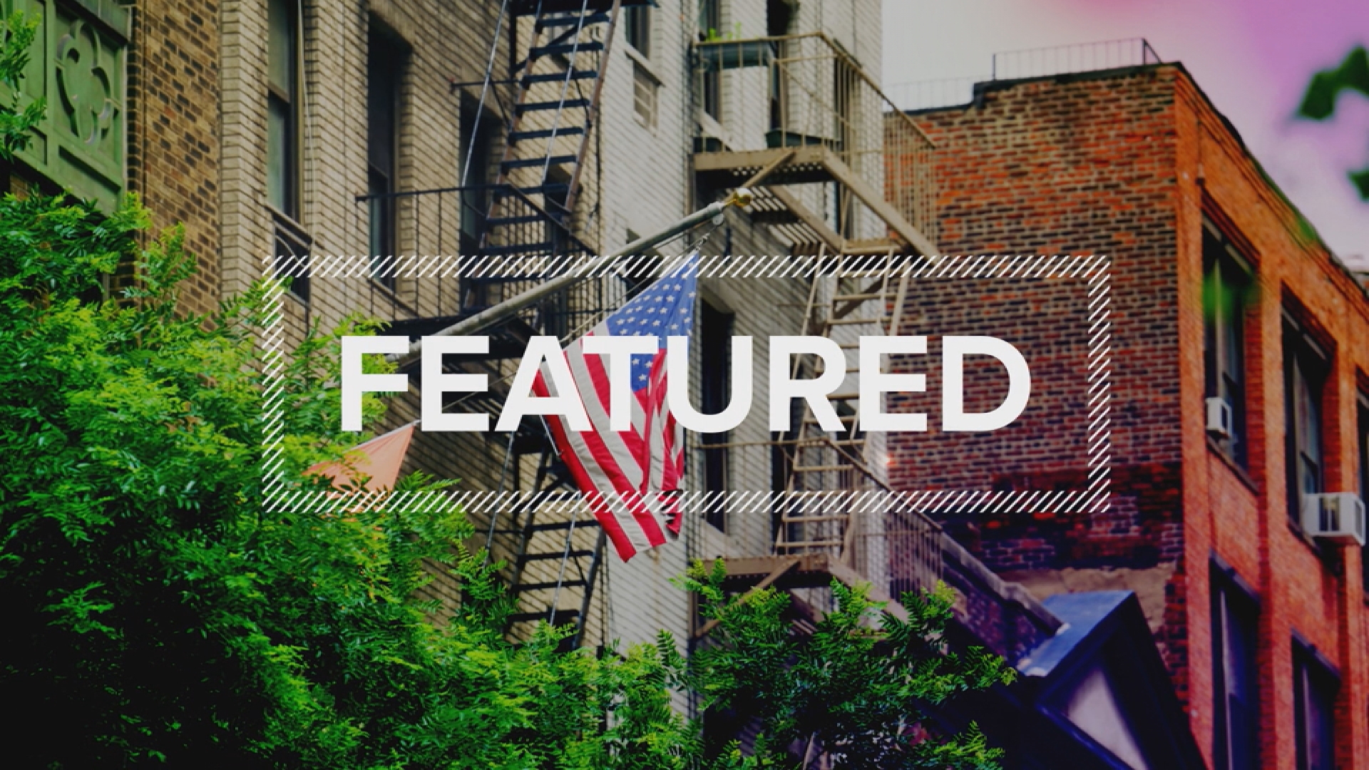 FEATURED - Hero Security Guard, Buff Grandma, Shark Survival