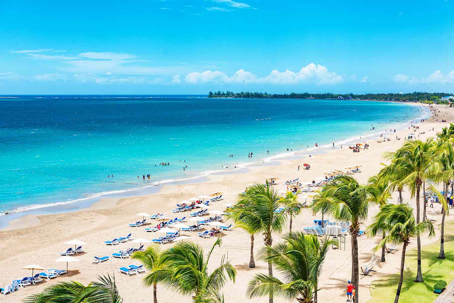 Spring Break Hotspots Are on the CDC's Warning List for Dengue Fever ...