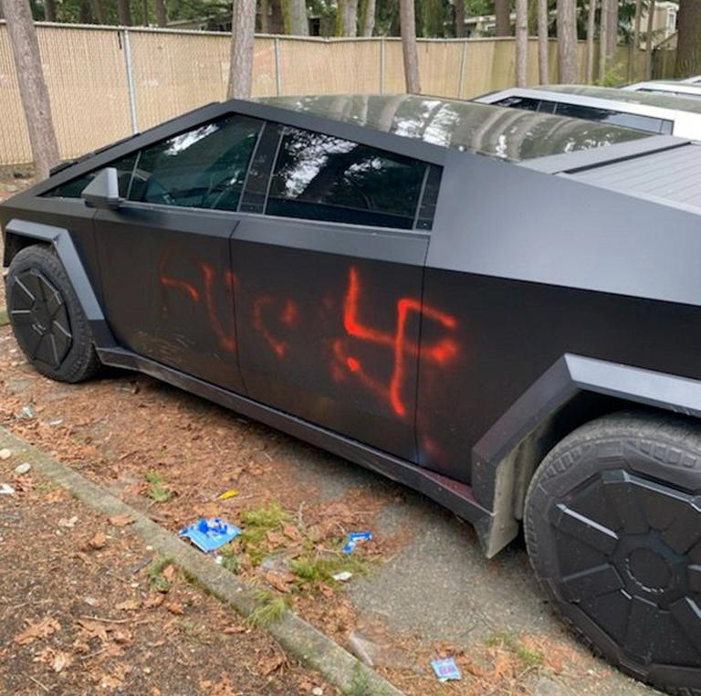 Trump floats sending Tesla-trashing ‘thugs’ to serve 20-year prison ...