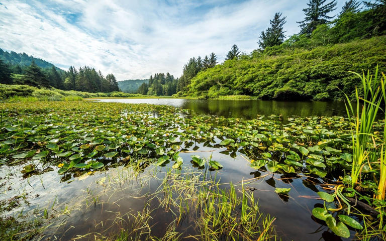 Will the Land Back Movement Survive a Second Trump Administration?