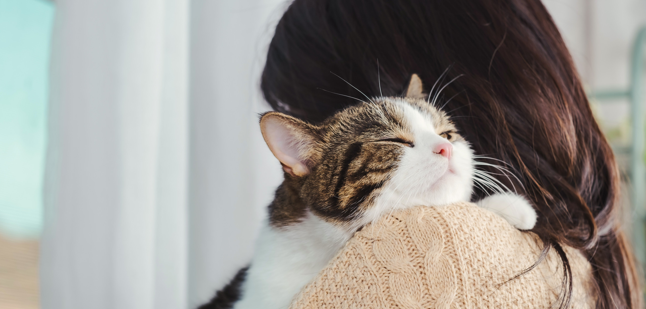 The most important life lessons we learn from our pets
