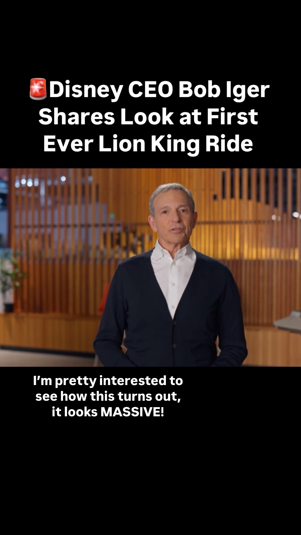 Disney is creating their first ever Lion King ride!