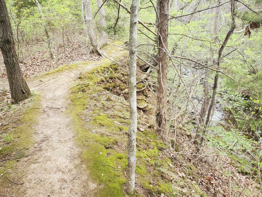 LIST: Kansas City-area lakes, parks for hiking this spring