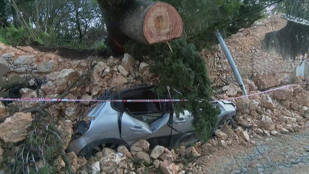 O "efeito dominó" dos estragos da depressão Martinho: pinheiro ...