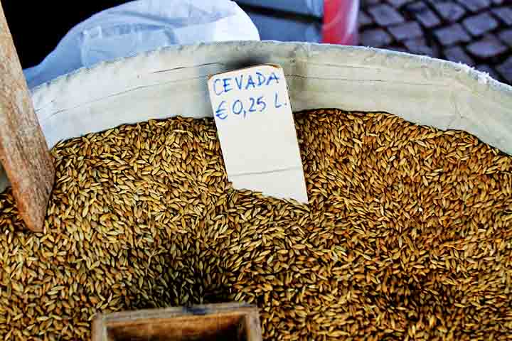 Cevada além da cerveja: veja seus benefícios na alimentação