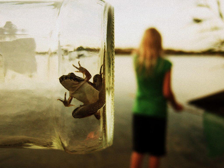 See Fantastic Frogs in 15 Fun Photographs