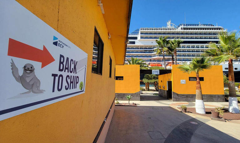 Staying Safe In Baja: An Expert's Guide On How Cruise Visitors Can Get ...