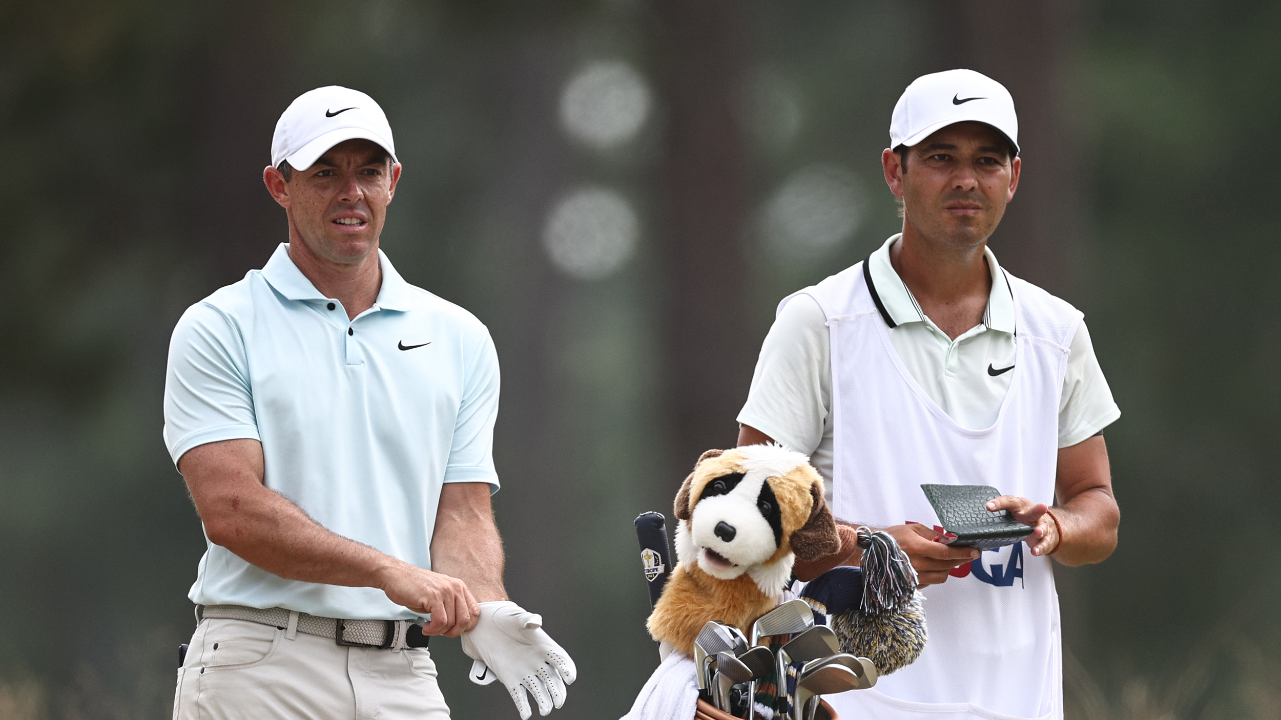 Rory McIlroy’s Caddie Harry Diamond May Have Earned Almost $900,000 In ...