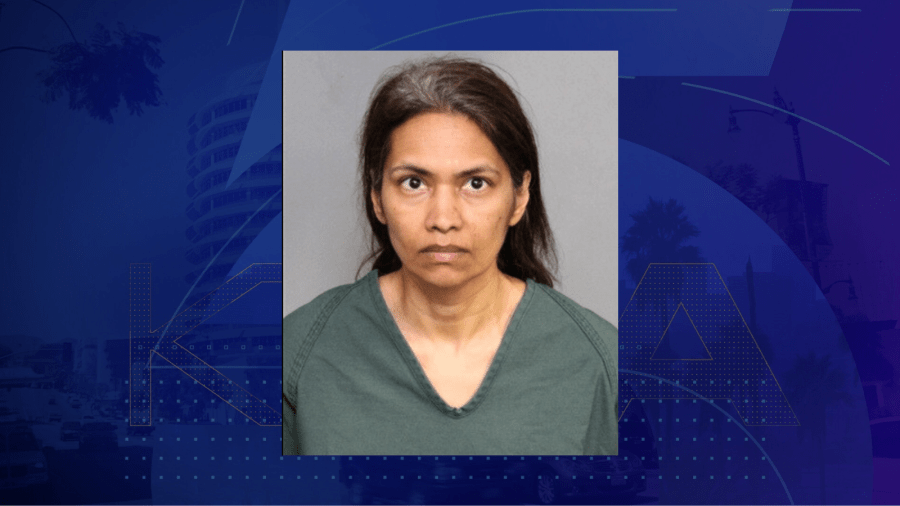 Mother charged with killing son after 3 days at Disneyland