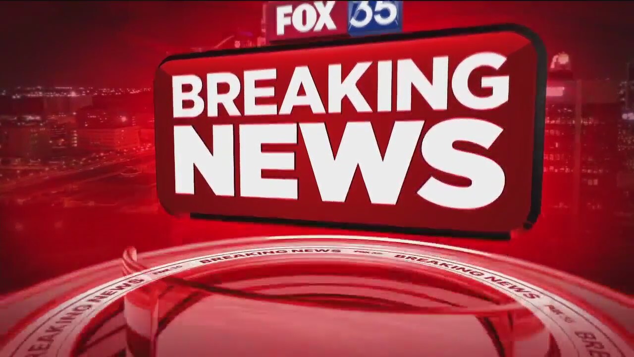 1st undocumented immigrant detained under Alien Enemies