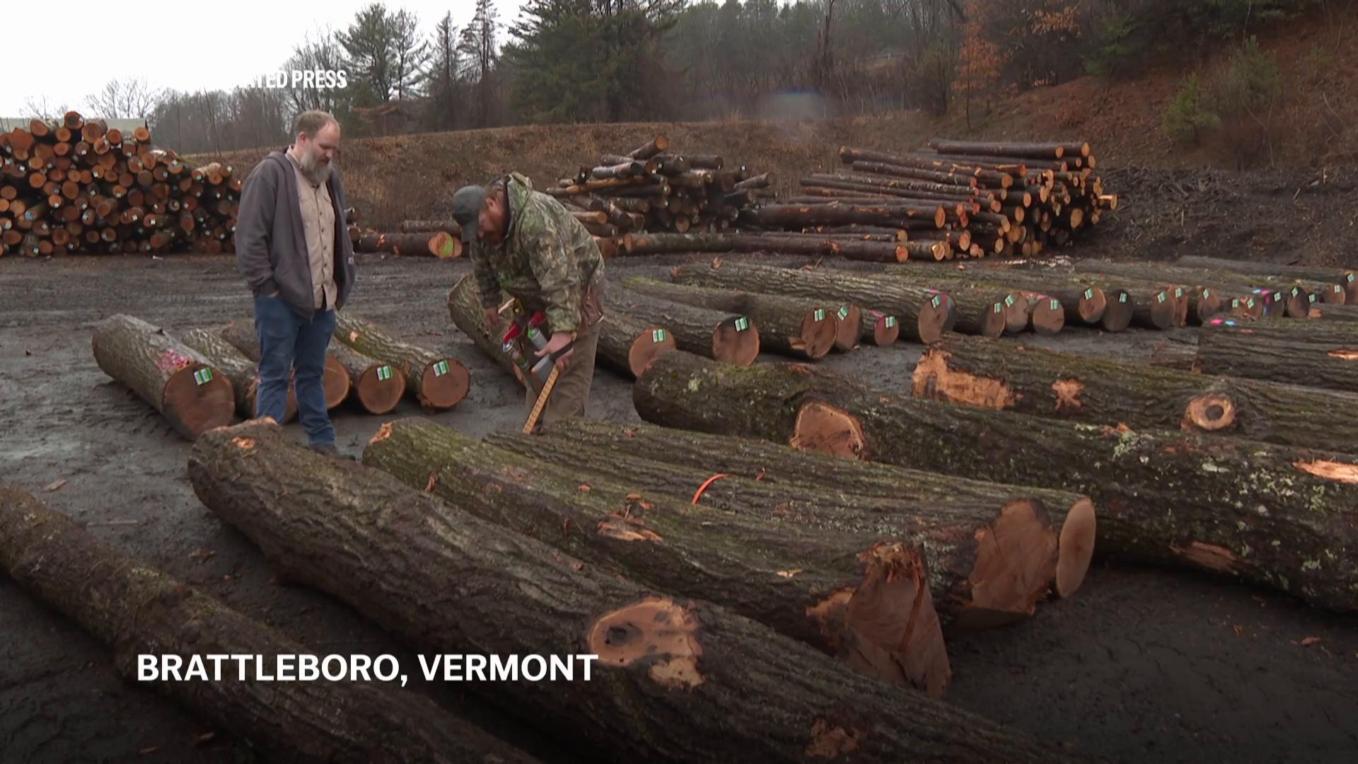 Vermont lumber mill faces uncertain future amid Trump’s tariffs