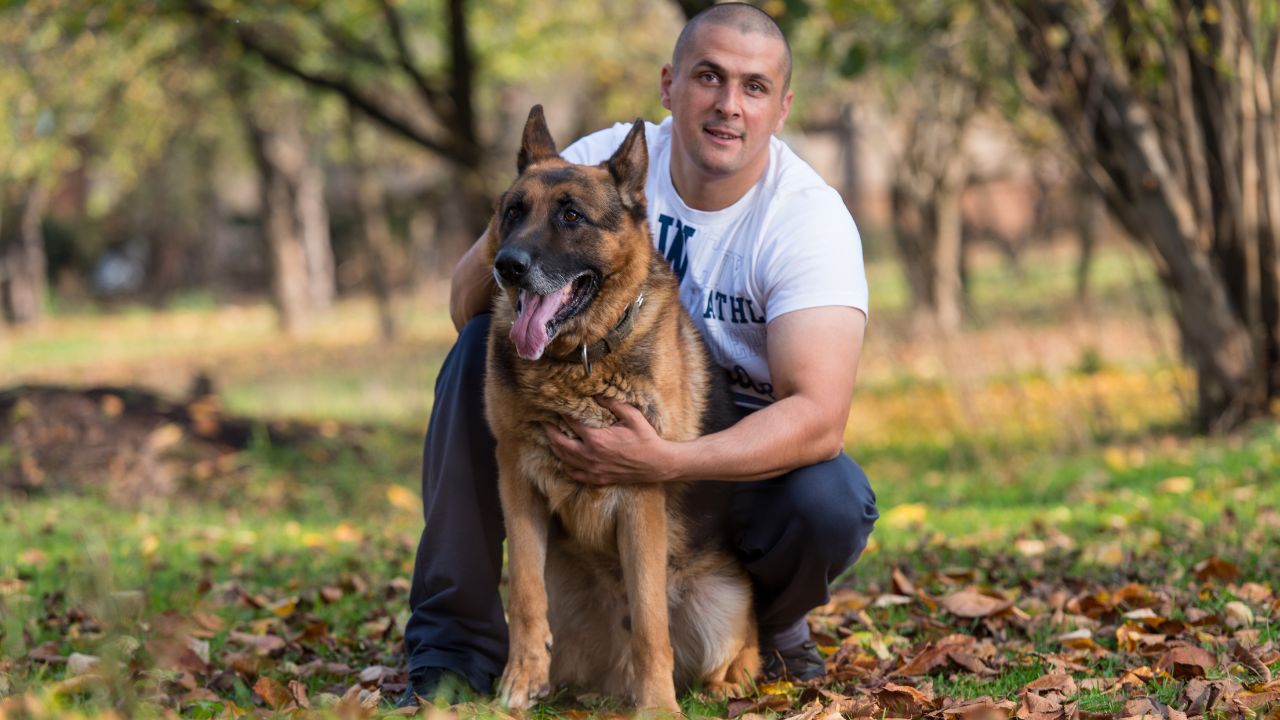 7 Things German Shepherd Owners Regret Not Knowing Earlier