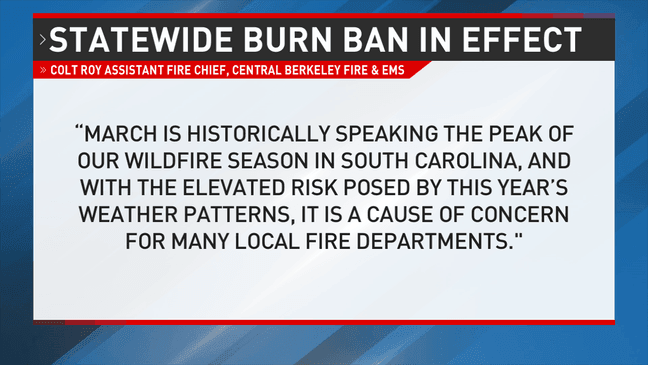 Statewide burn ban issued as South Carolina faces elevated wildfire risk