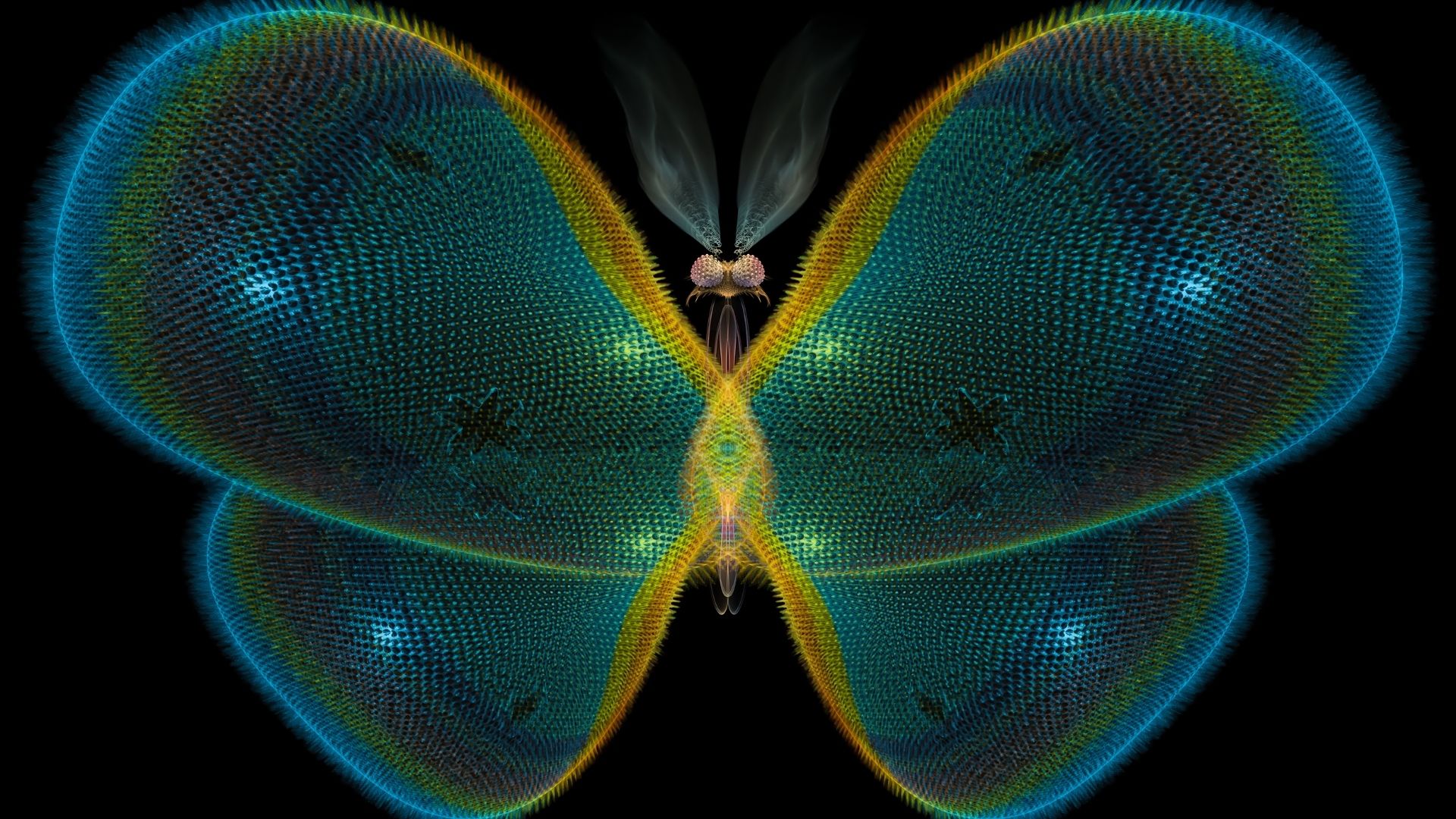 The butterfly effect: A misaligned experiment accidentally unfolds ...
