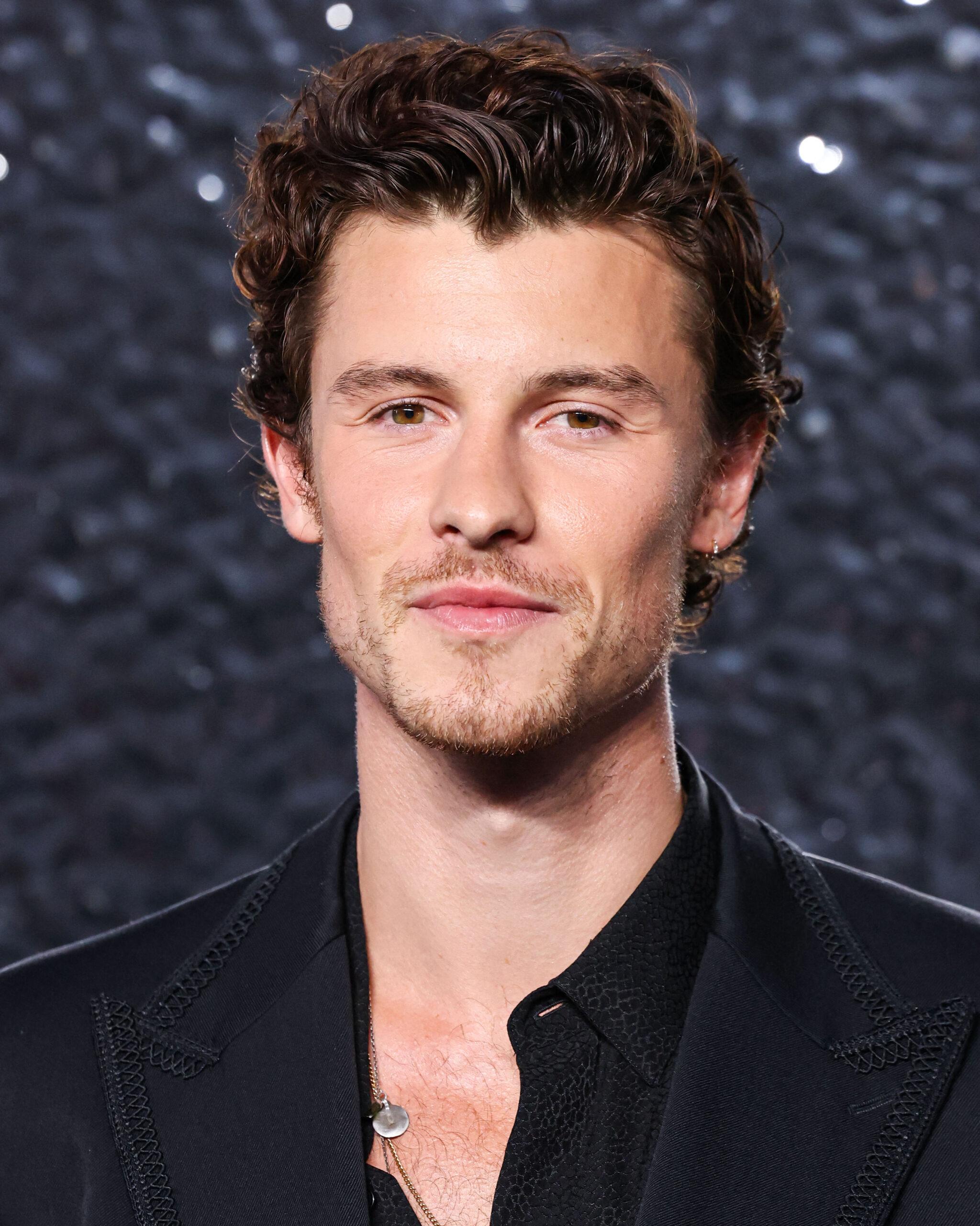 Shawn Mendes Breaks The Internet With Spicy Reaction To Bad Bunny's ...