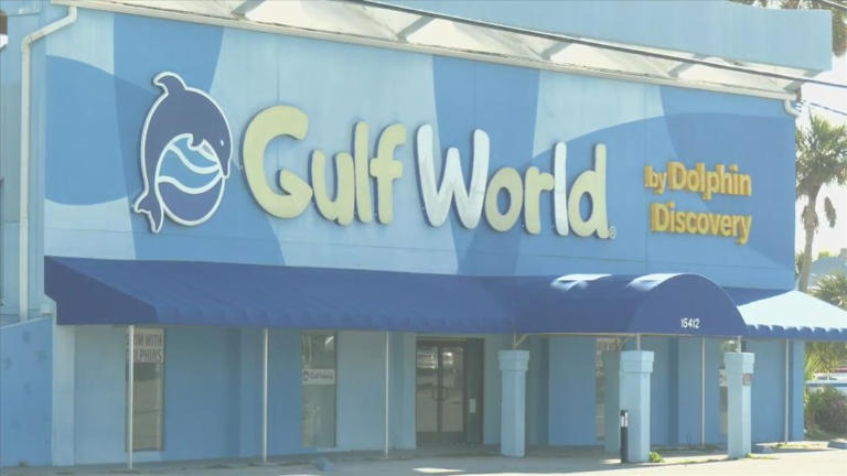 Dolphin transport underway at Gulf World
